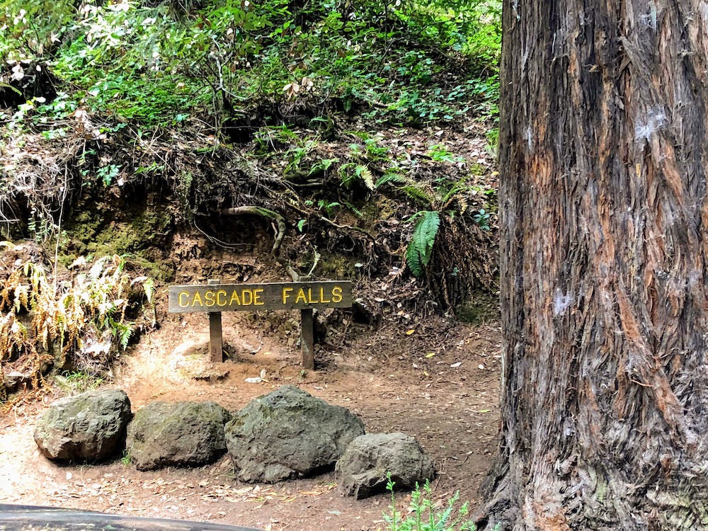 Chase a Waterfall, Cascade Falls, Mill Valley - until suburbia!