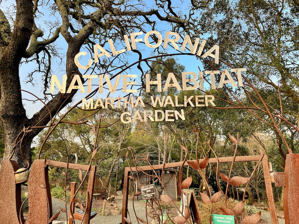 Relax in a Native Garden, Martha Walker Gardens, Napa - until suburbia!