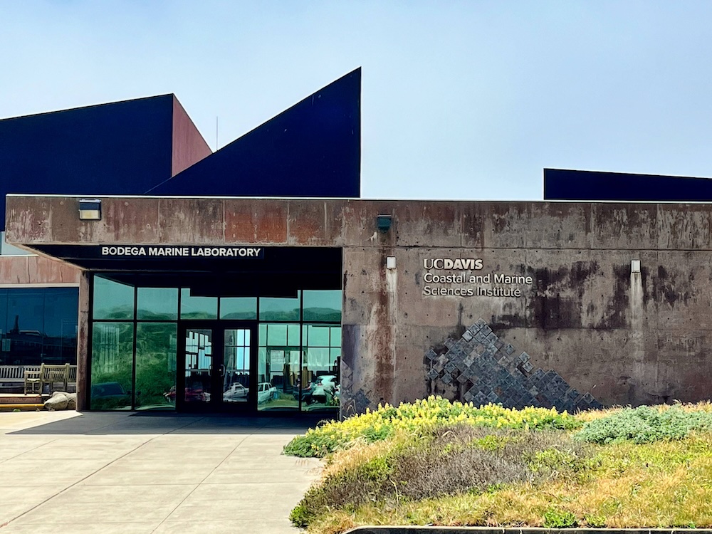 Tour the Bodega Marine Laboratory, Bodega Bay - until suburbia!